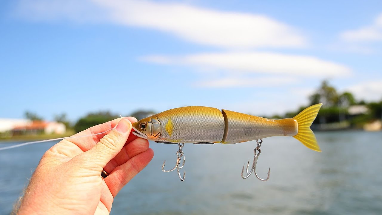 Swim Baiting Mangrove Jack - Gold Coast - YouTube