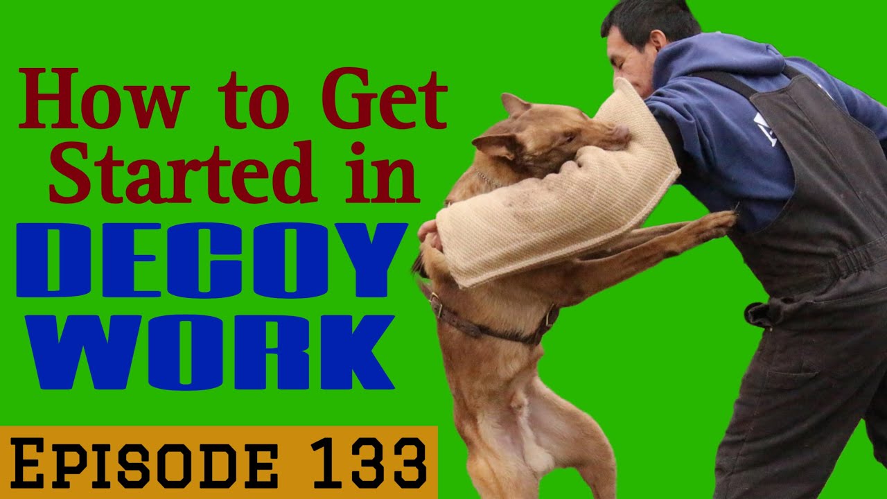 HOW to start DECOYing. Episode 133 - YouTube