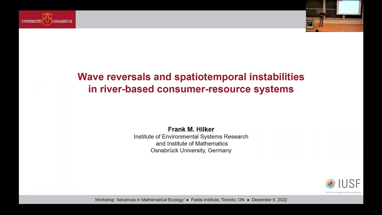 Wave reversals and spatiotemporal instabilities in river-based consumer ...