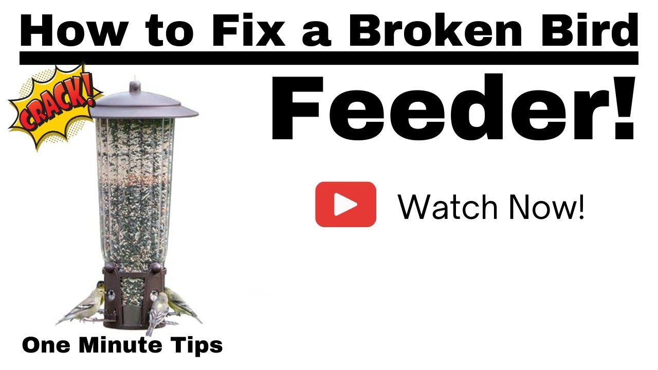 HOW TO FIX A BROKEN BIRD FEEDER!-One Minute Tips - Home Repairs -# ...