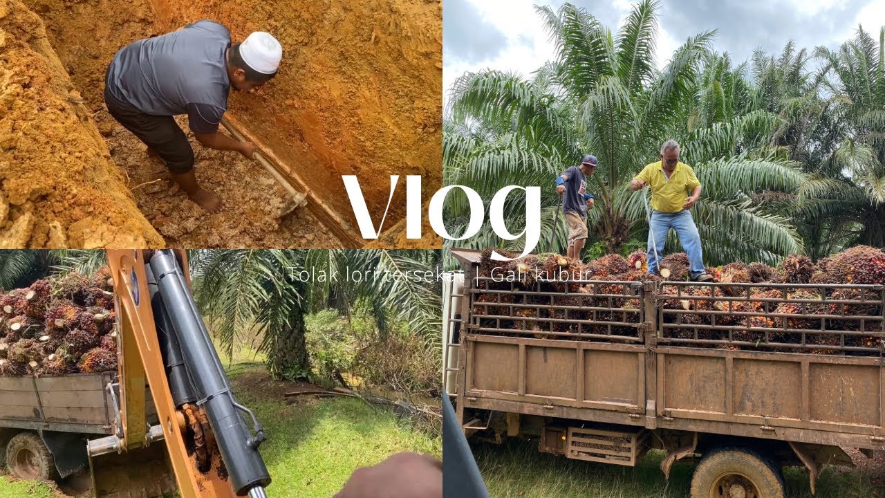 Vlog | Backhoe tarik lori tersangkut, Gali kubur - YouTube