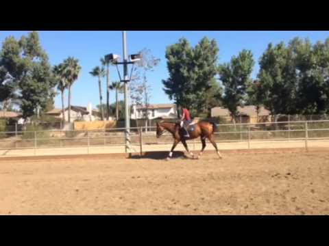 Shake it off aka Bambi