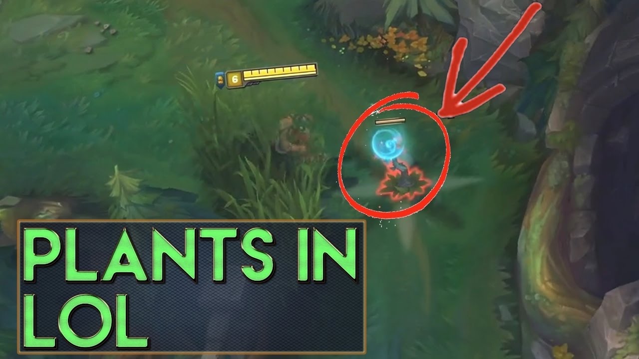 PLANTS IN LEAGUE OF LEGENDS - YouTube