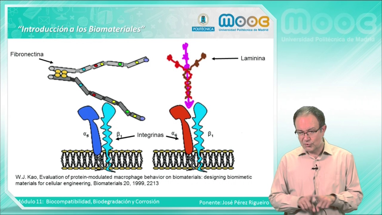 MOOC Biomateriales: El paradigma de la biocompatibilidad. Ejemplos ...