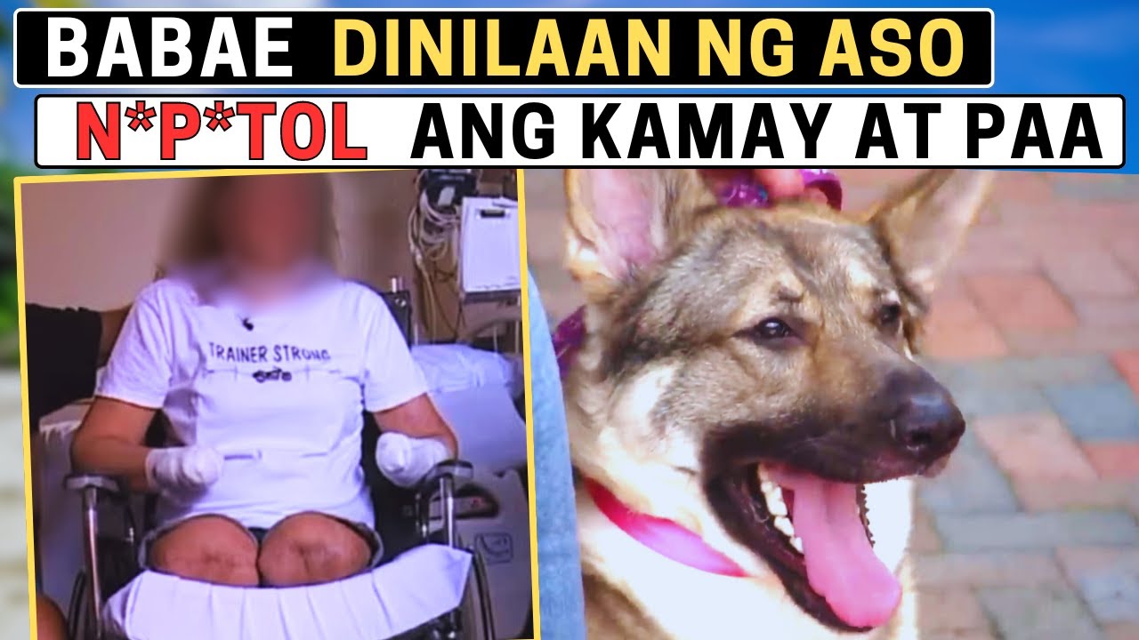 BABAE DINILAAN NG ASO, KAMAY AT PAA NADALE | DJ ZSAN TAGALOG FACTS AT ...