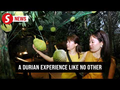 ‘King of Fruits’ takes centre stage at Asia’s first durian experience centre in KL
