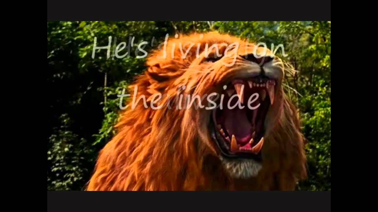 Like A Lion Lyrics-David Crowder - YouTube