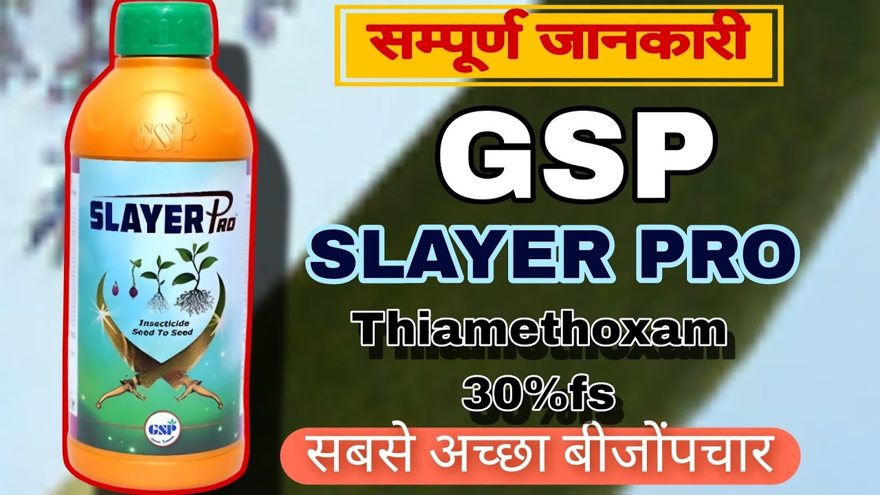 GSP SLAYER PRO INSECTICIDE सबसे अच्छा बीज उपचार #slayer pro #gsp # ...