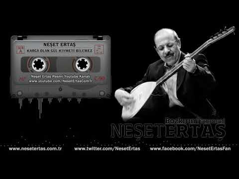 Neşet Ertaş - Karga Olan Gül Kıymeti Bilemez