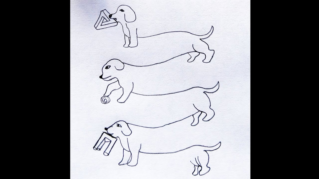 learn how to draw illusion 🐶 dog - YouTube