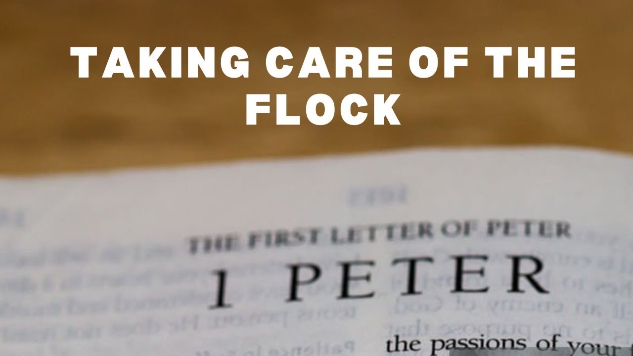 Caring for the Flock | 1 Peter 5:1-14 - YouTube