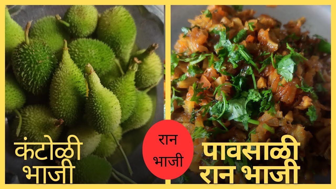 चिकन पेक्षा भारी ताकदवान बहुगुणी औषधी कंटोळी ची भाजी/करटूले भाजी/Kakora ...