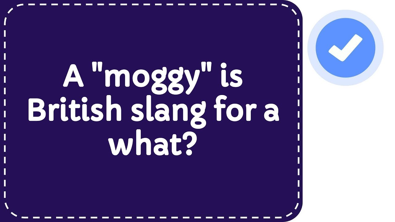 A "moggy" is British slang for a what? - YouTube
