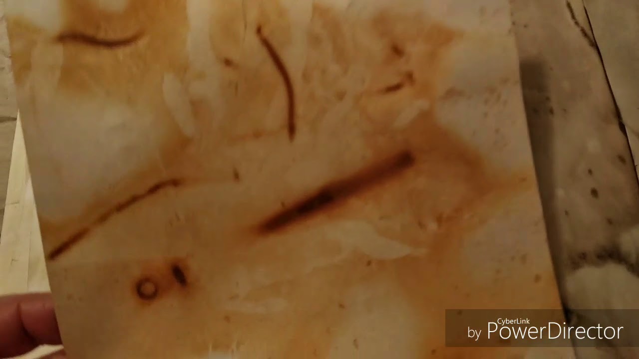 Coffee dye paper & rusty paper experiences - YouTube