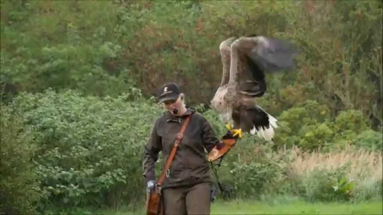 Eagle World 2014 - YouTube