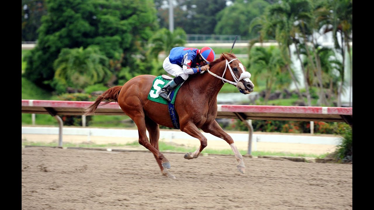 ARQUITECTO - Clásico Antonio R. Barceló 2016 - YouTube