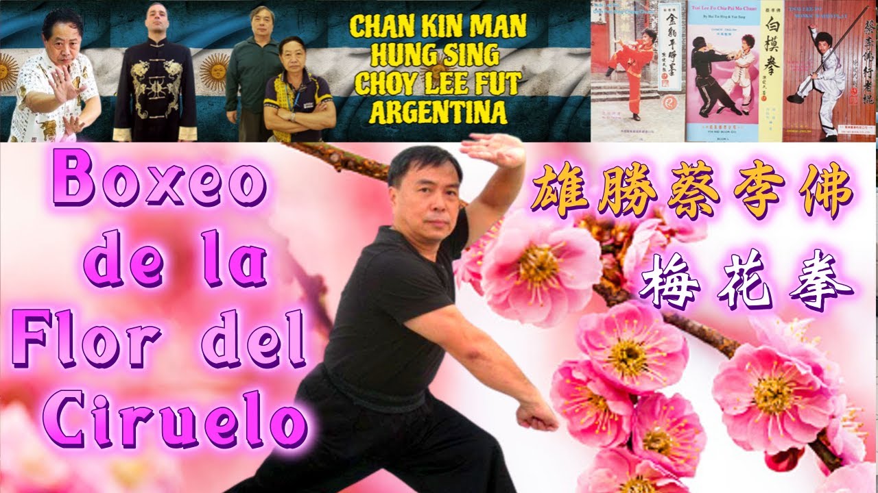 Boxeo de la Flor del Ciruelo 雄勝蔡李佛 梅花拳 Hung Sing Choy Lee Fut Plum Blossom Boxing Master Teddy ...