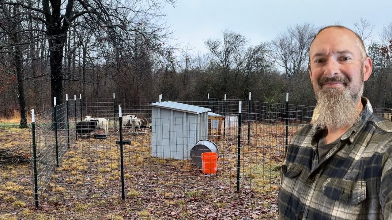 How We Built A Winter Pen For Our Goats & Sheep | Winter Prep - YouTube