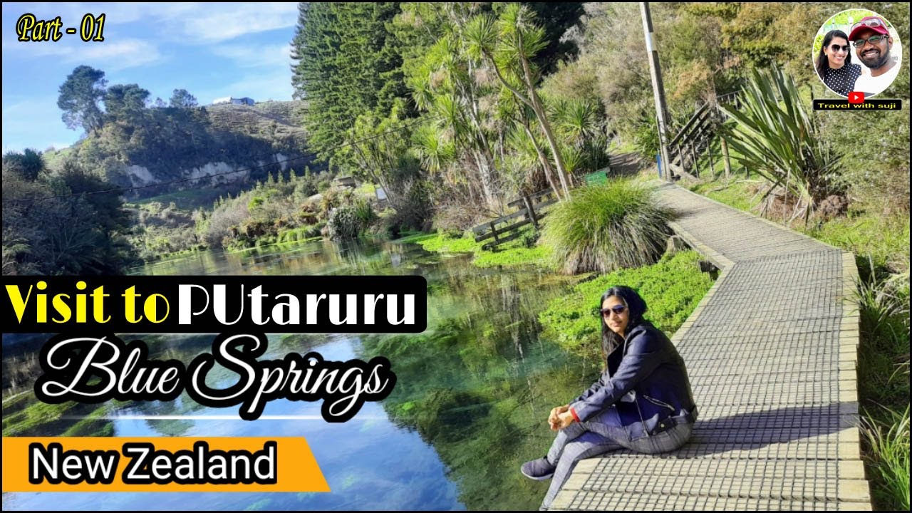 Blue Spring Hamilton | Putaruru New Zealand | Hamilton to Blue Spring ...