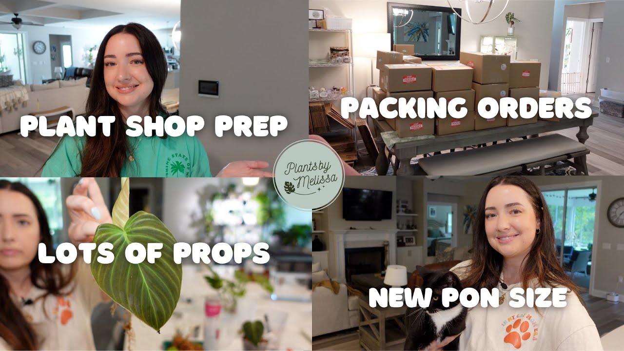 Running a Plant Shop From Home! | Shop Prep, Potting Up Propagations ...