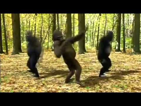 En iyi whatsapp videoları