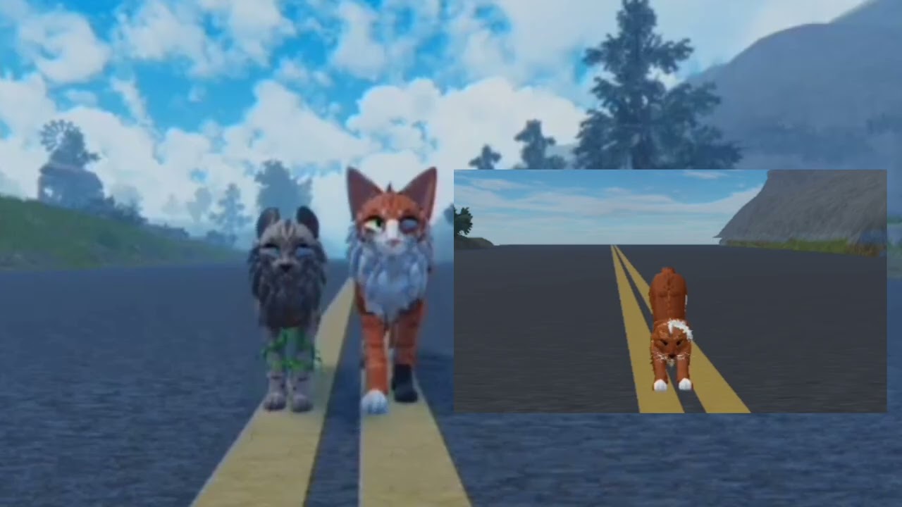 Morph Challenge / WCUE - YouTube