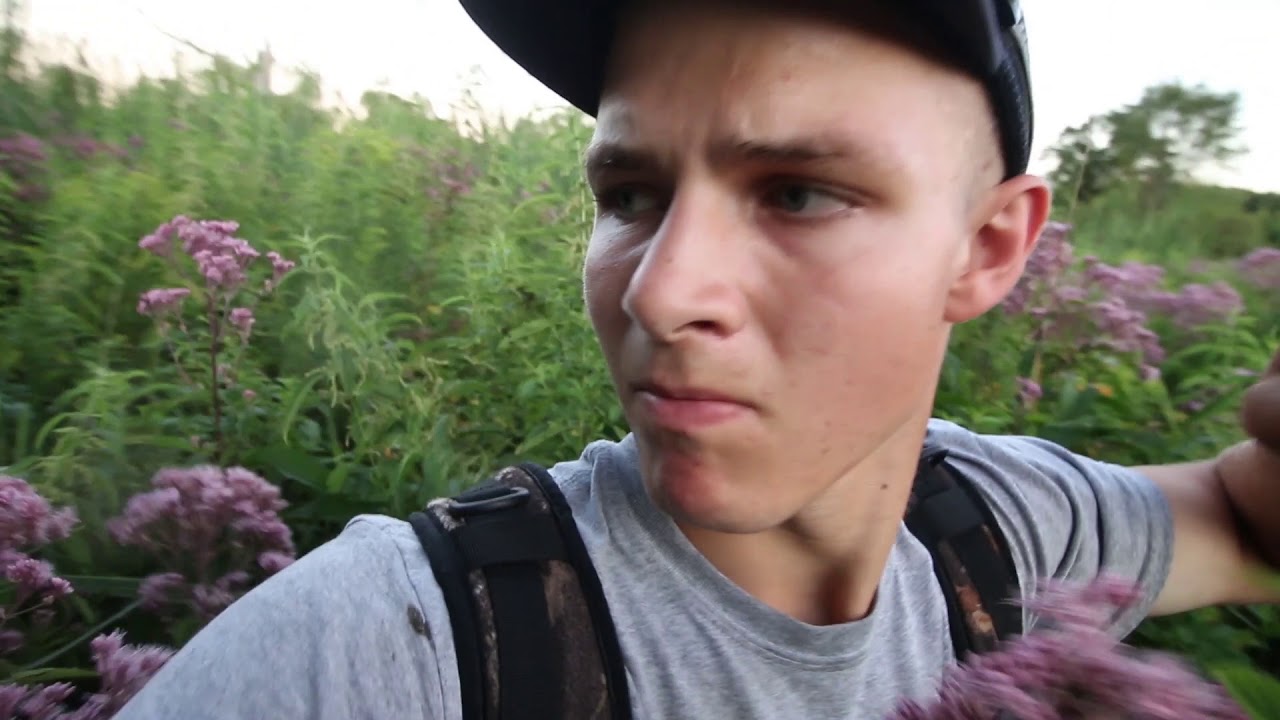 BIG SURPRISE!!!, Checking Trail Cams - Michigan Public Land - YouTube