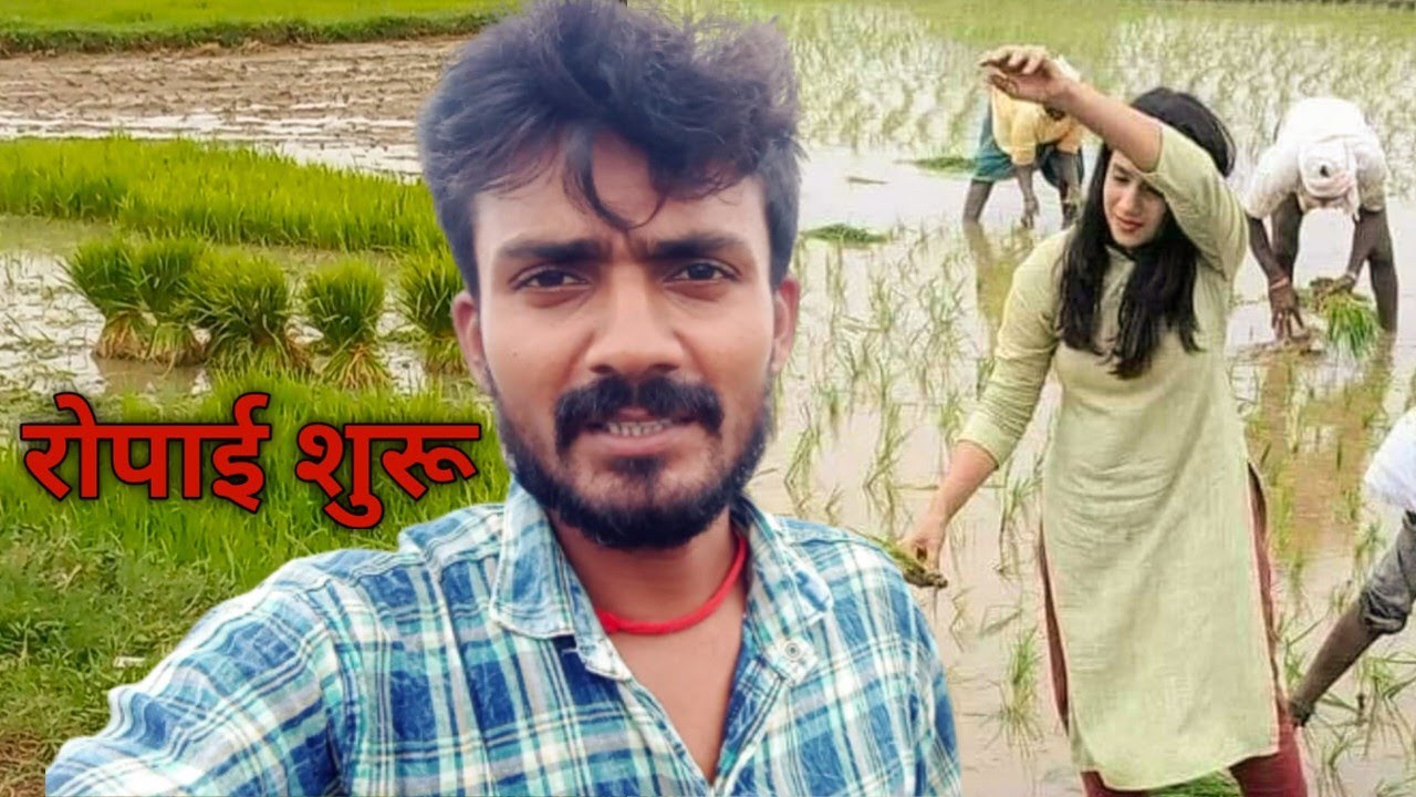 सब खुश हो गए धान रोपनी शुरू Dhan Ropai Vlogs Village Life Style