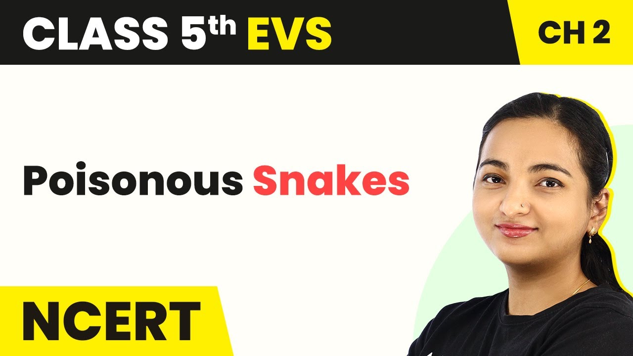 Class 5 EVS Chapter 2 | Poisonous Snakes - A Snake Charmer's Story | CBSE 2024-25 - YouTube