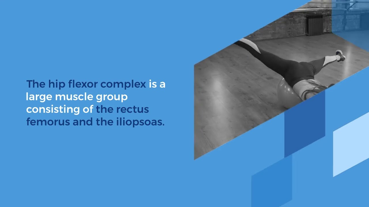THE HIP FLEXOR COMPLEX - YouTube