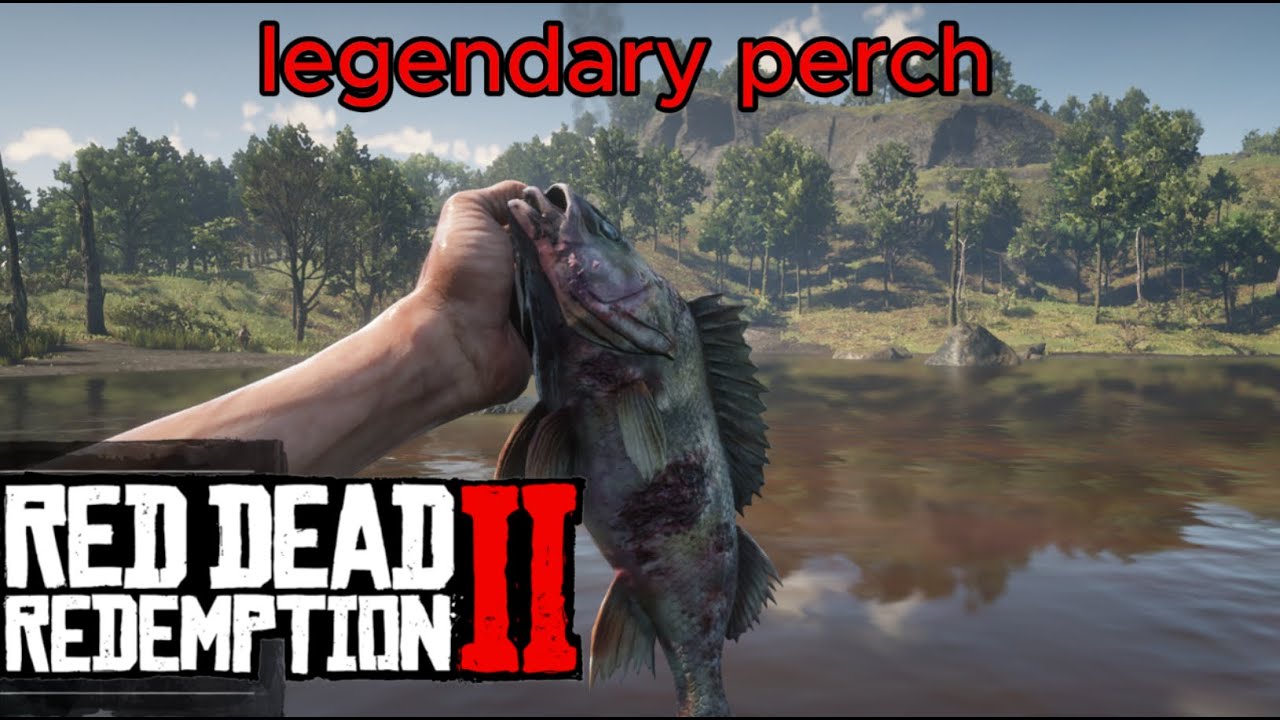 LEGENDARY Perch (Red dead redemption 2) - YouTube