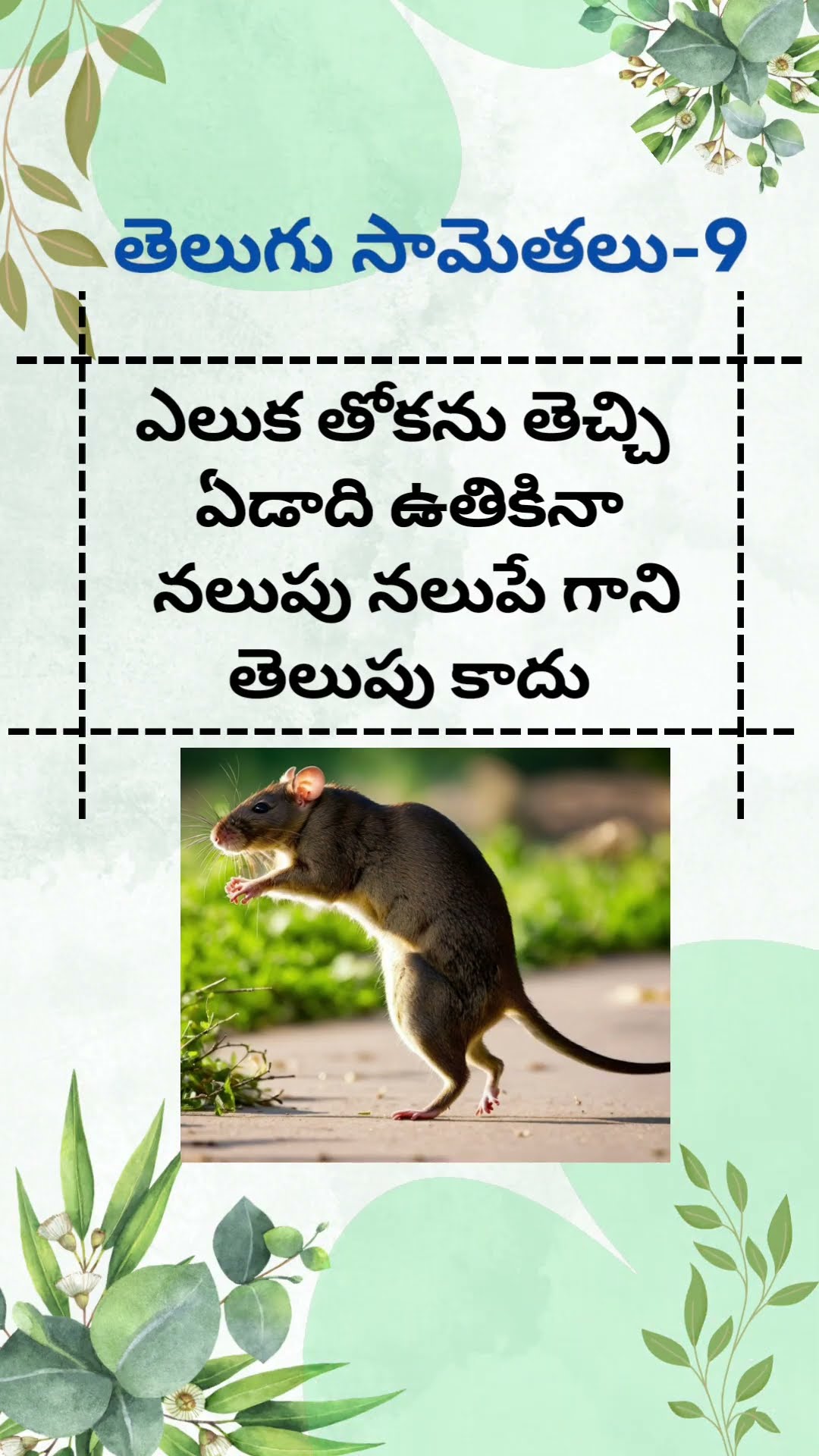 Samethalu-9 #samethalu #proverbs #fun #telugu - YouTube