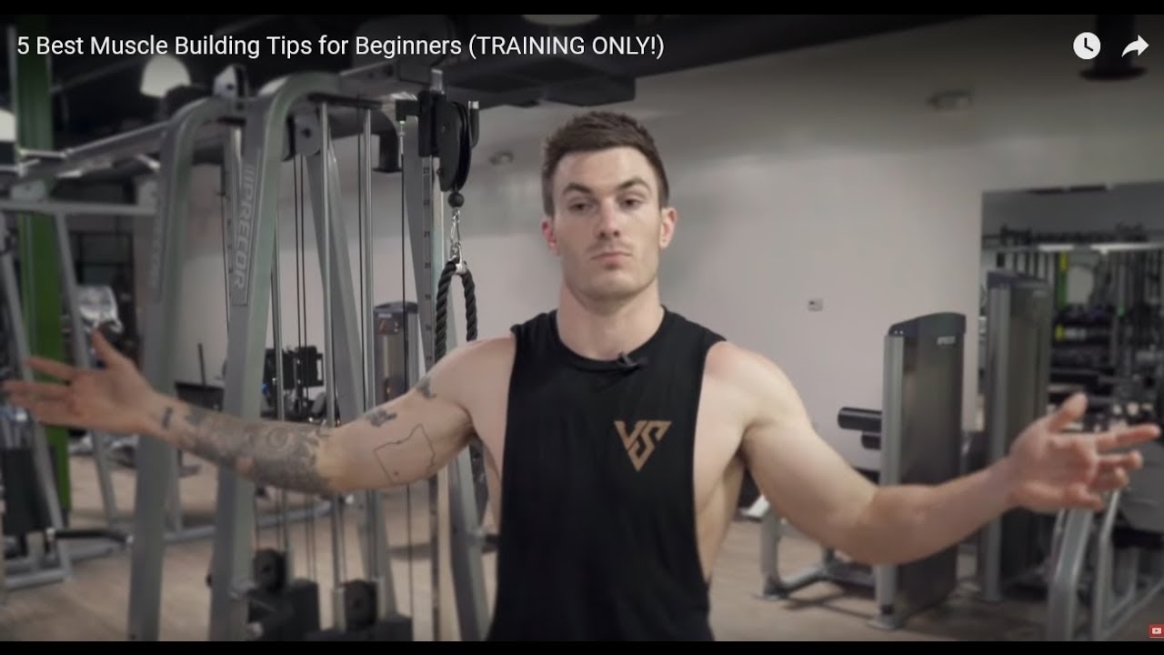 Re: V Shred - 5 Best Muscle Building Tips for Beginners (TRAINING ONLY ...