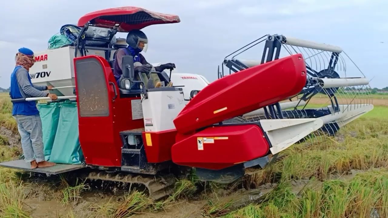 panen padi COMBI Padi Doser padi #242 - YouTube