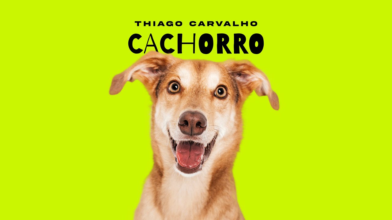 Thiago Carvalho | Cachorro (Lyric Oficial) - YouTube