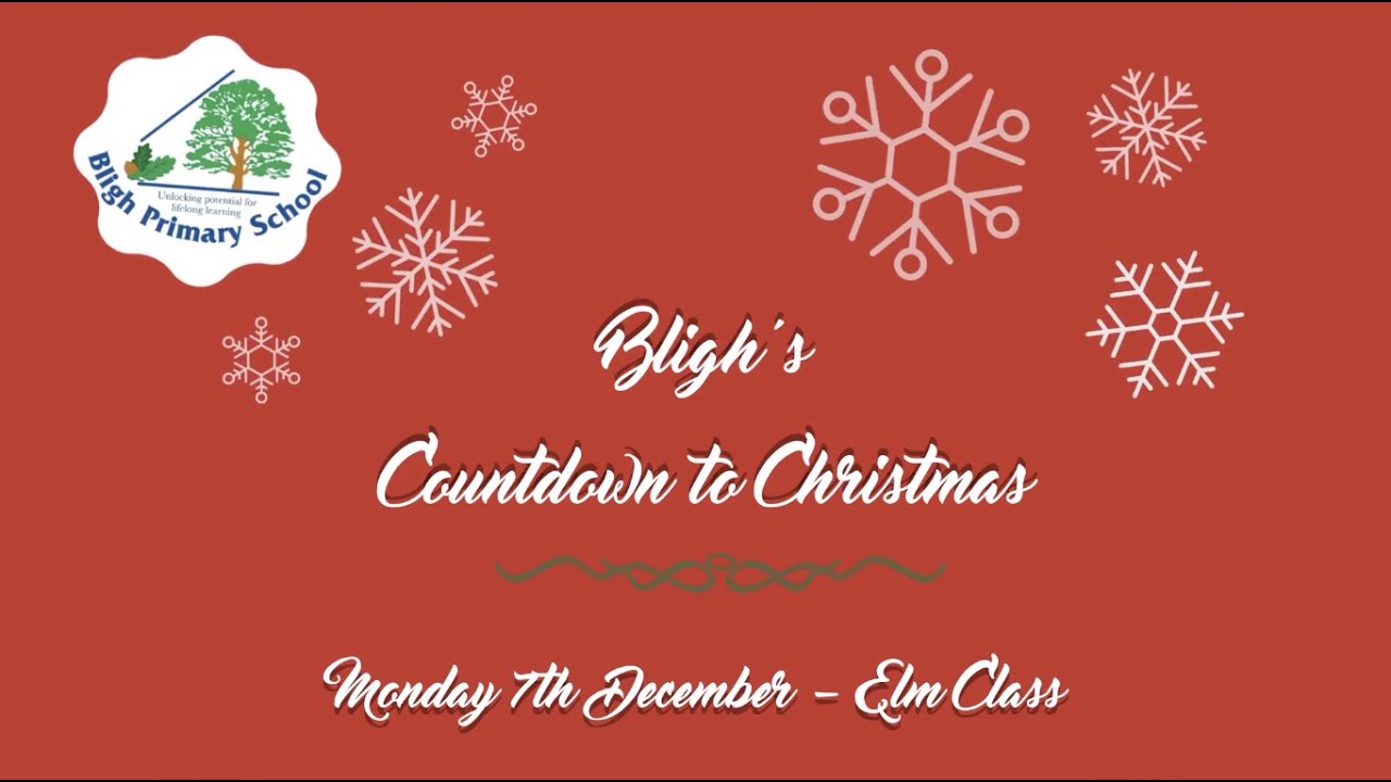 Bligh s Countdown To Christmas Day 7 YouTube bligh-s-countdown-to-christmas-day-7-youtube