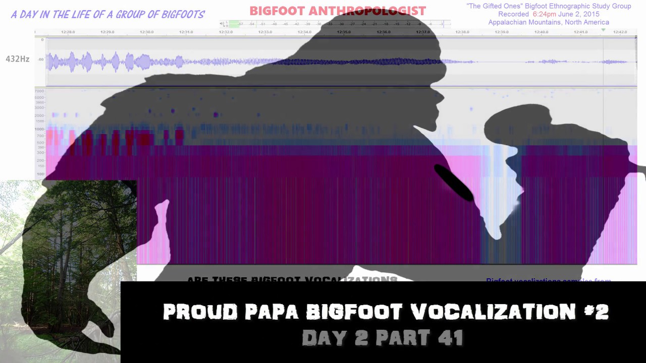 Best Bigfoot Sasquatch Vocalizations: Real Bigfoot AKA Sasquatch sounds ...
