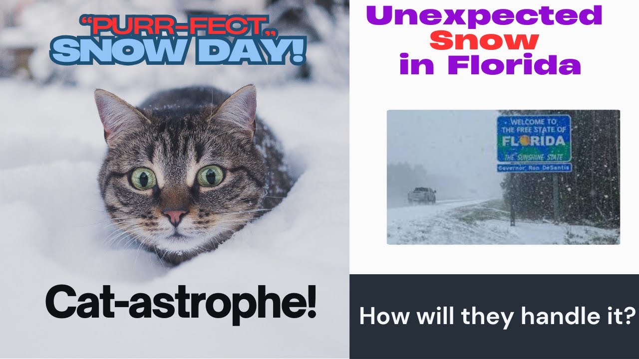Floridians Freak Out Over Snow! - YouTube