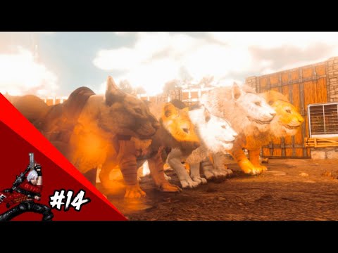 BIG CATS!!! #14 | Ark Survival Ascended The Island Playthrough - YouTube