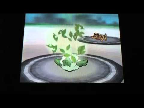 Let's Play Pokemon Black! Part 16 - Prime Pier - YouTube