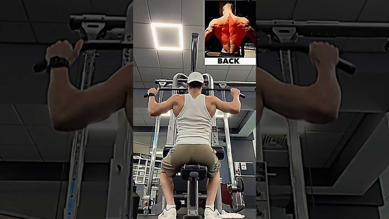 🚨The BEST GYM Exercises‼️ #fitness #gym #diet #fatloss #athomeworkout # ...