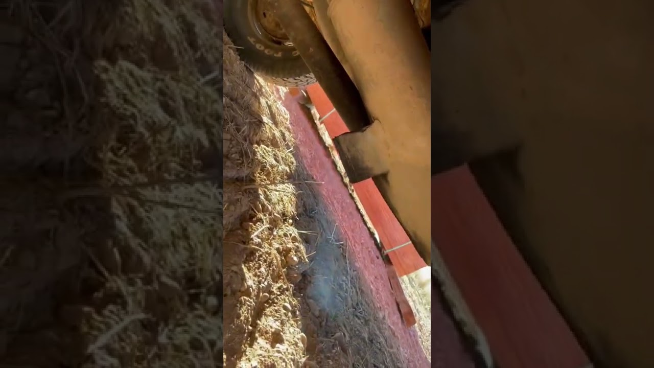 I think I found the problem - YouTube