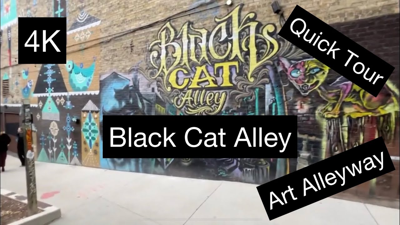 Black Cat Alley | Art Alleyway | Milwaukee | Wisconsin #milwaukee # ...