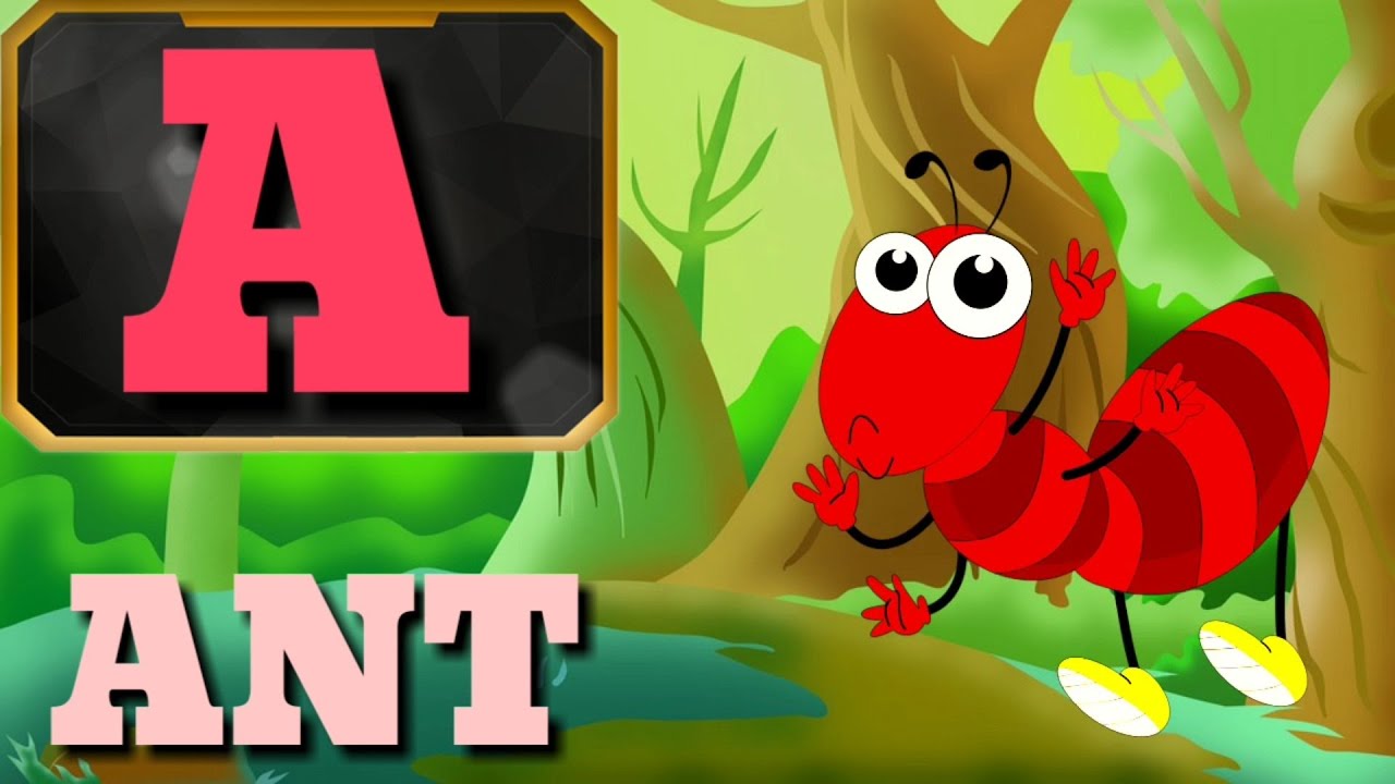 A for Ant B for Book | abcd | Alphabets | Phonics Song | English ...