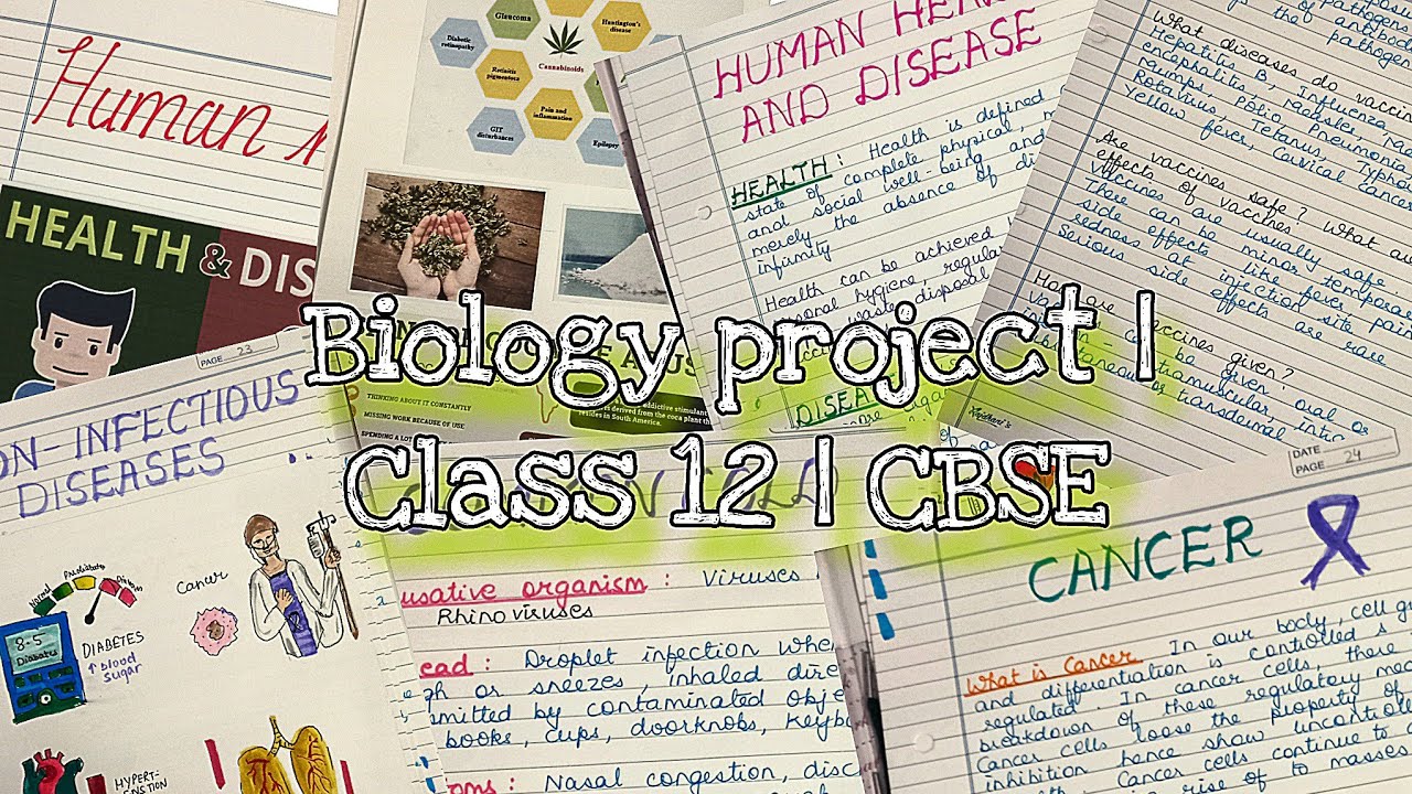 Biology project | Class 12 | CBSE - YouTube