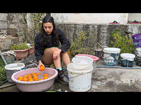 Simple Life of a Rural girl in a remote mountain village | village morning routine