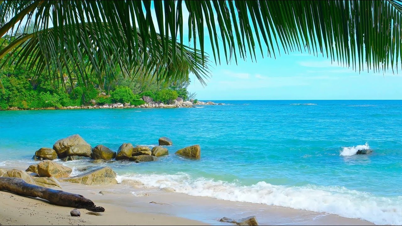 Relax with Soothing Tropical Beach Waves - Calming Sounds for Restful ...