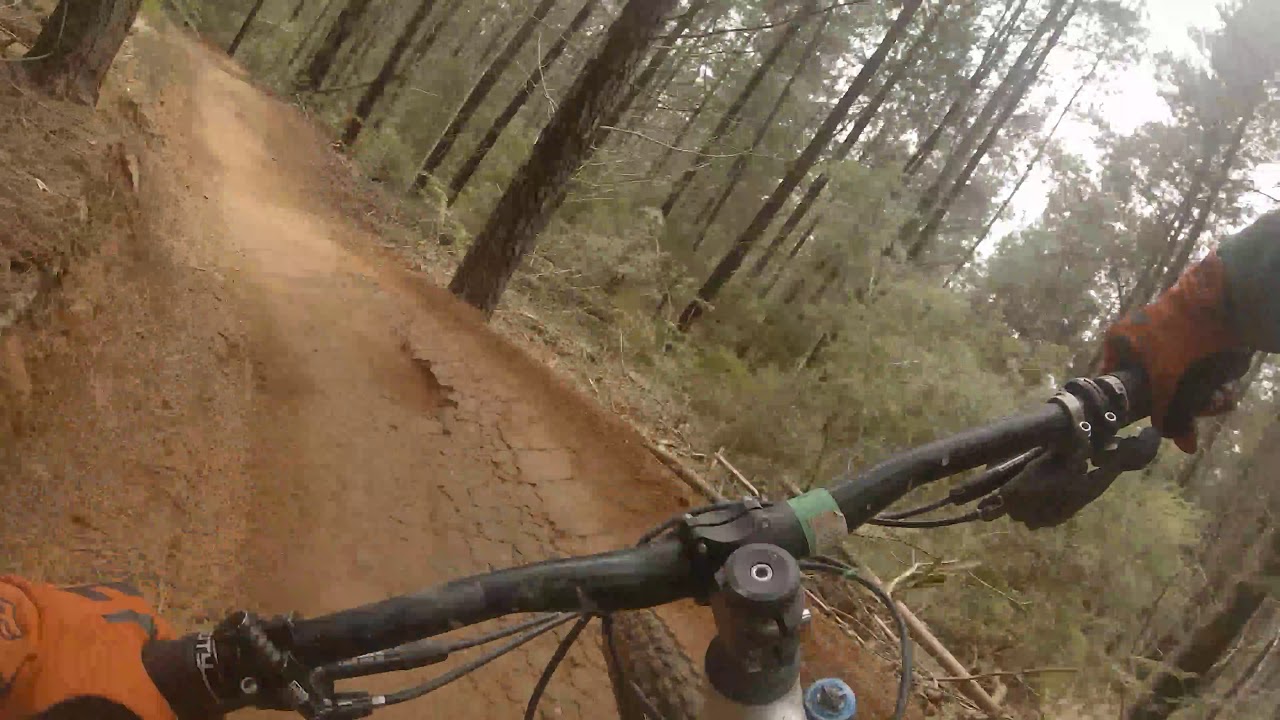 Shred Kelly - Mystic MTB Bright Victoria - YouTube