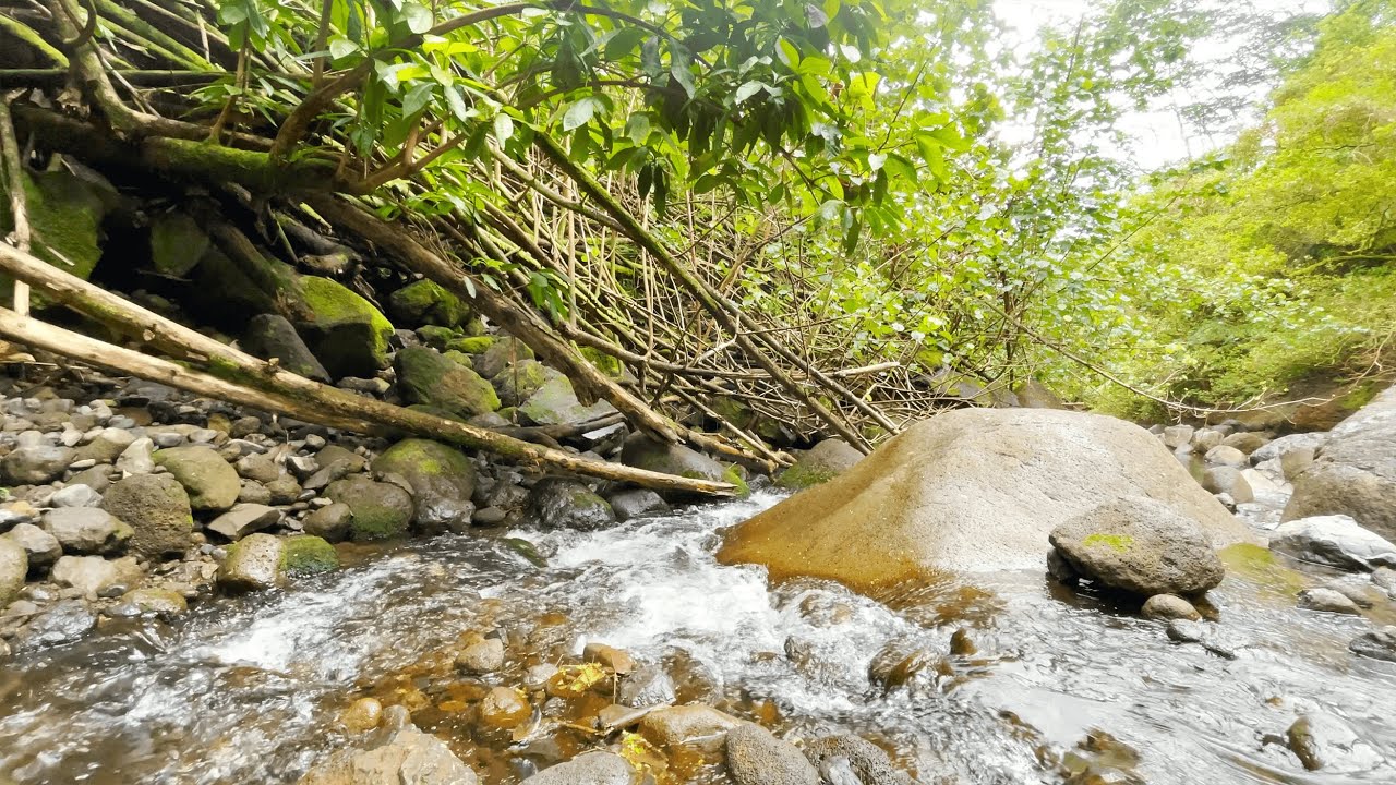 Calming Stream Sounds | Relaxing Stream Sounds for Studying, Meditation ...