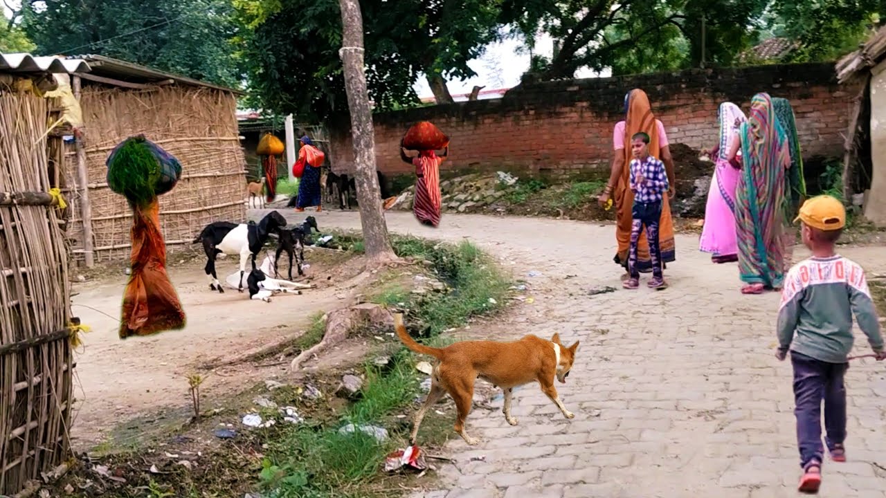 Real life india in uttar pradesh || Rural life india || Peaceful ...